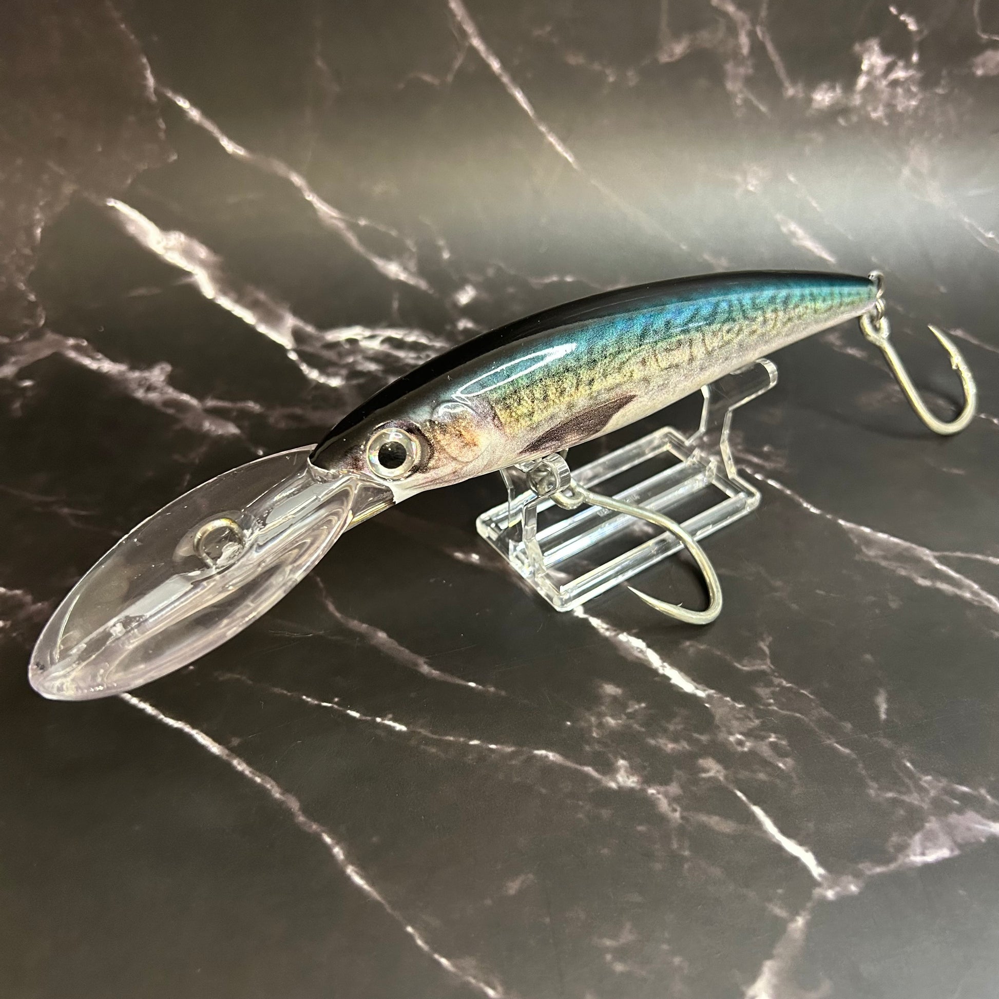 WAHOO (Acanthocybium solandri) – OOSH FISHING